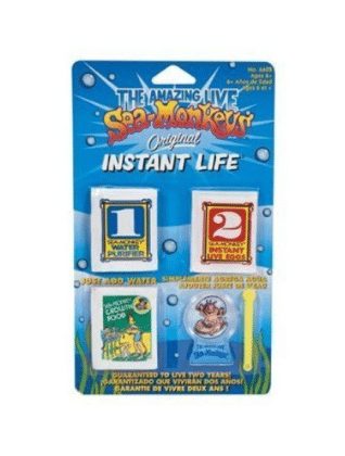 Gift Ideas for Your Sea Monkey Loving Kid
