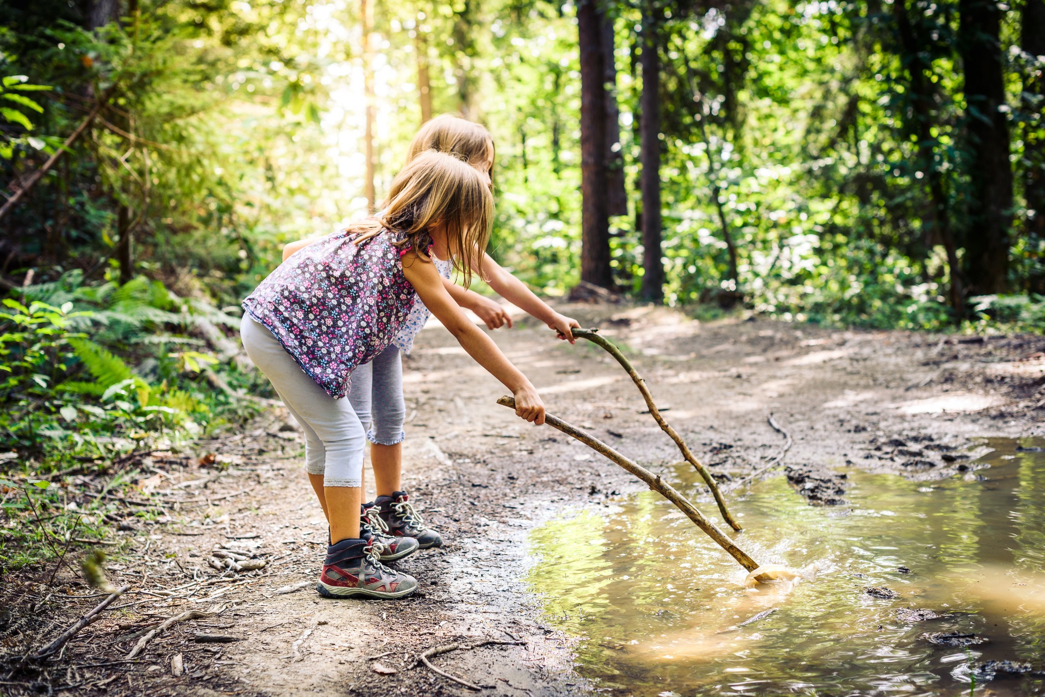 Mn State Park Passport Program